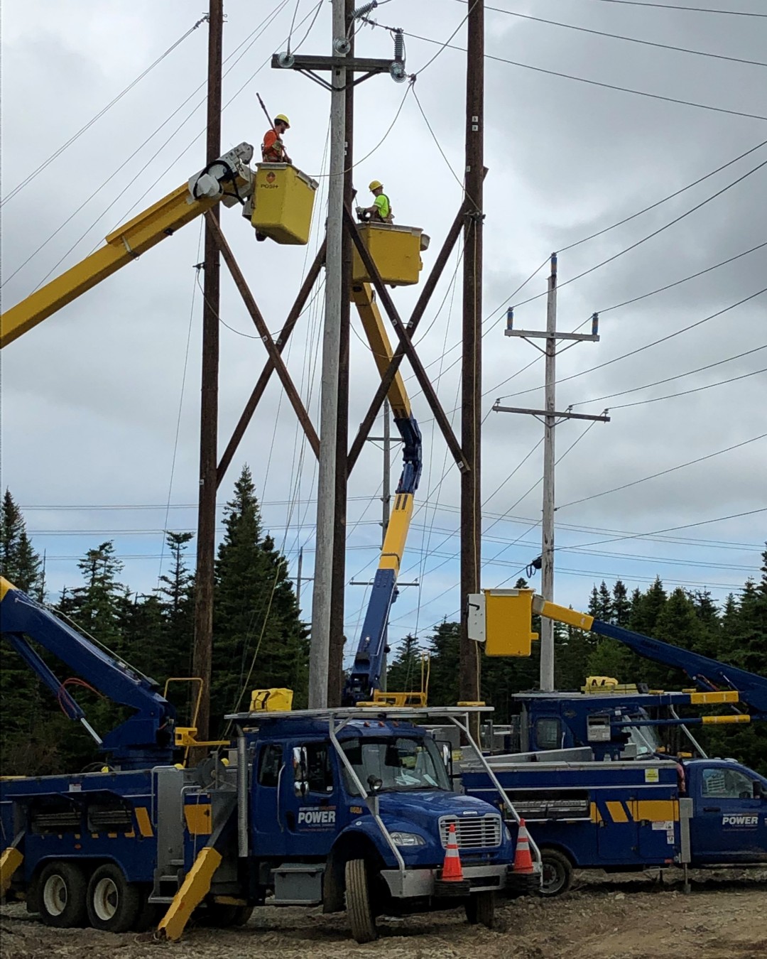 Newfoundland Power | Exploits Connect