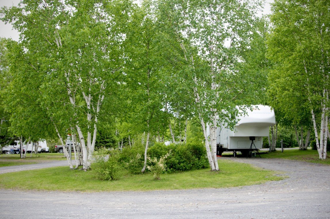 Sanger Memorial RV Park | Exploits Connect